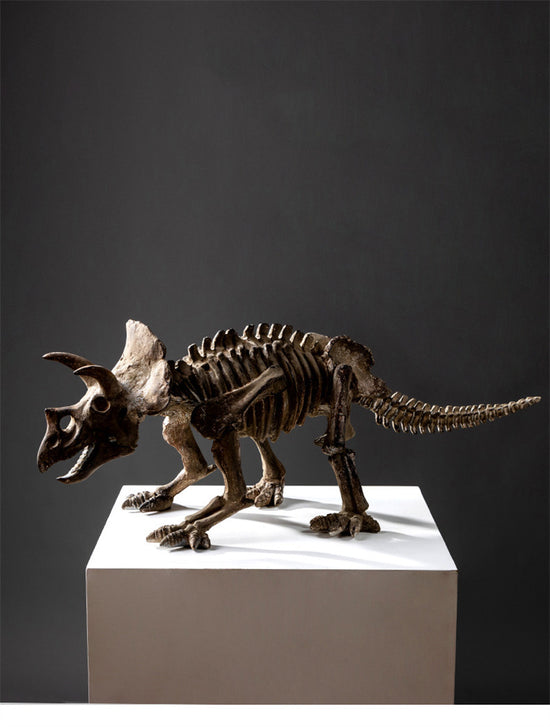 Ancient Dinosaur Fossil Sculpture - Timeless Prehistoric Decor – More Angle