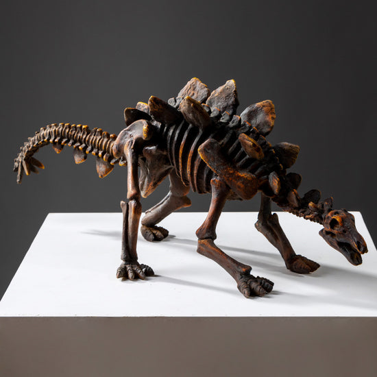 Ancient Dinosaur Fossil Sculpture - Timeless Prehistoric Decor – More Angle