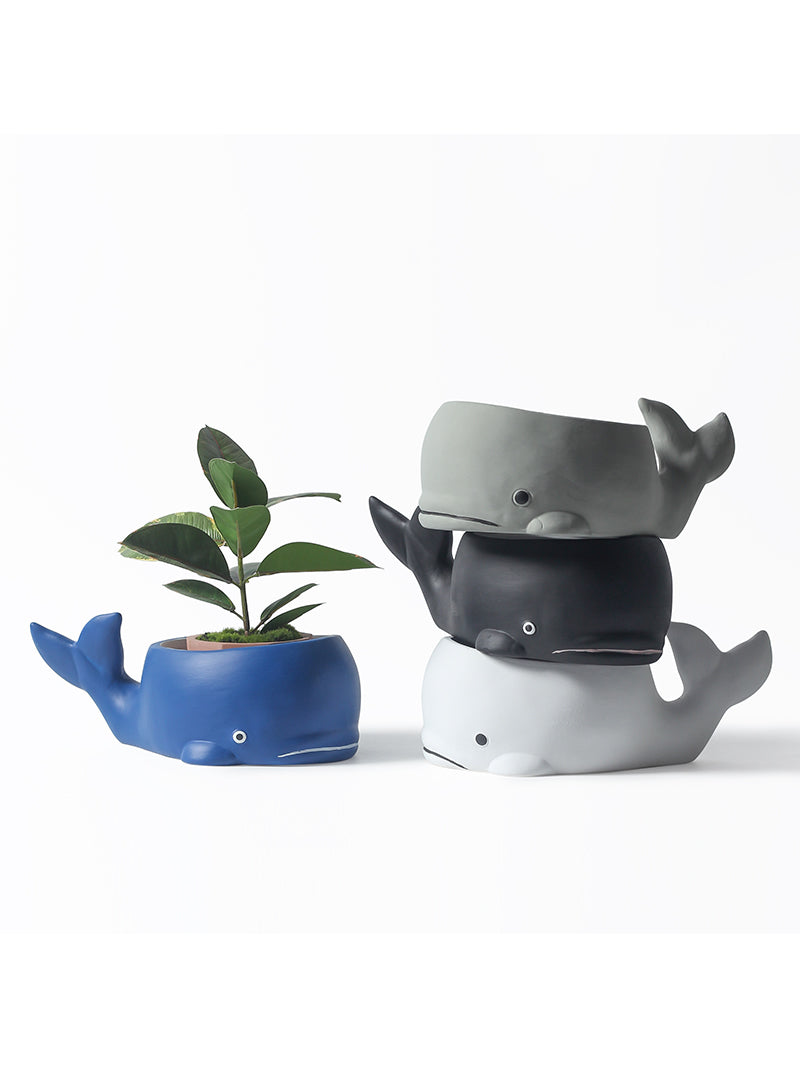 Ceramic Whale Flower Pot, Unique Garden Animal Decoration – More Angle