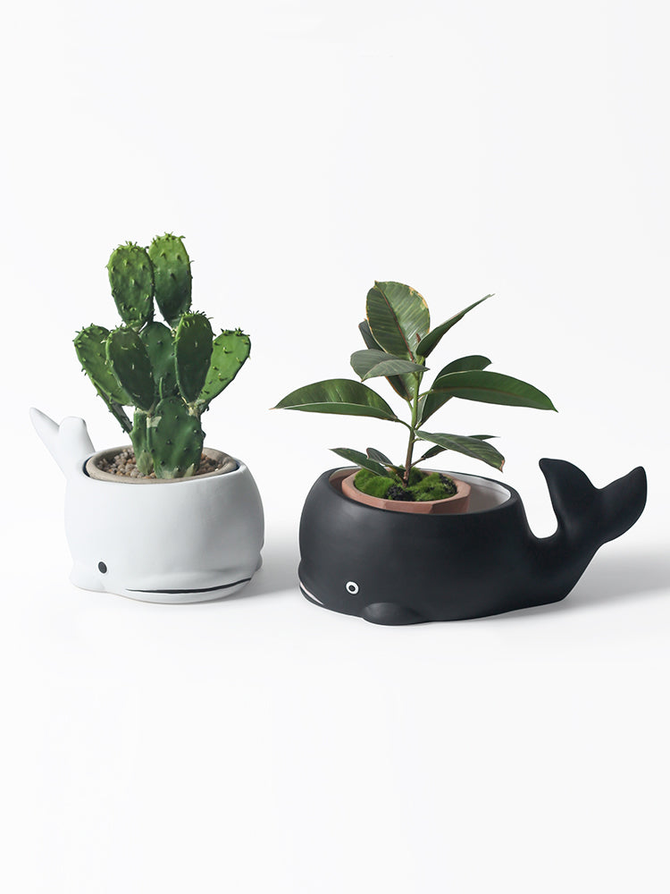 Ceramic Whale Flower Pot, Unique Garden Animal Decoration – More Angle